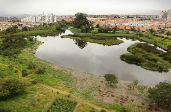 En el corazón de la localidad de Kennedy renace el humedal El Burro | Bogota.gov.co